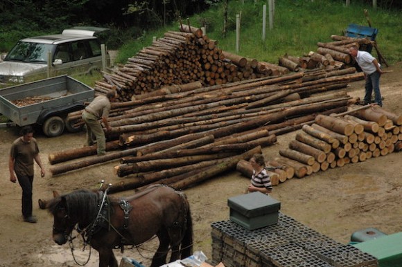 Volunteering Gallery - Courage Copse Creatives