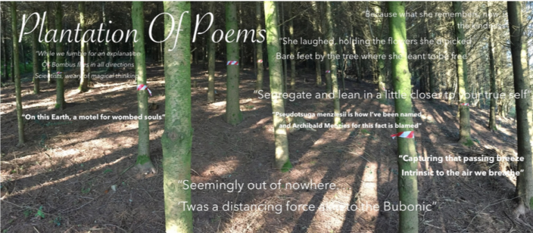 Plantation of Poems - Courage Copse Creatives