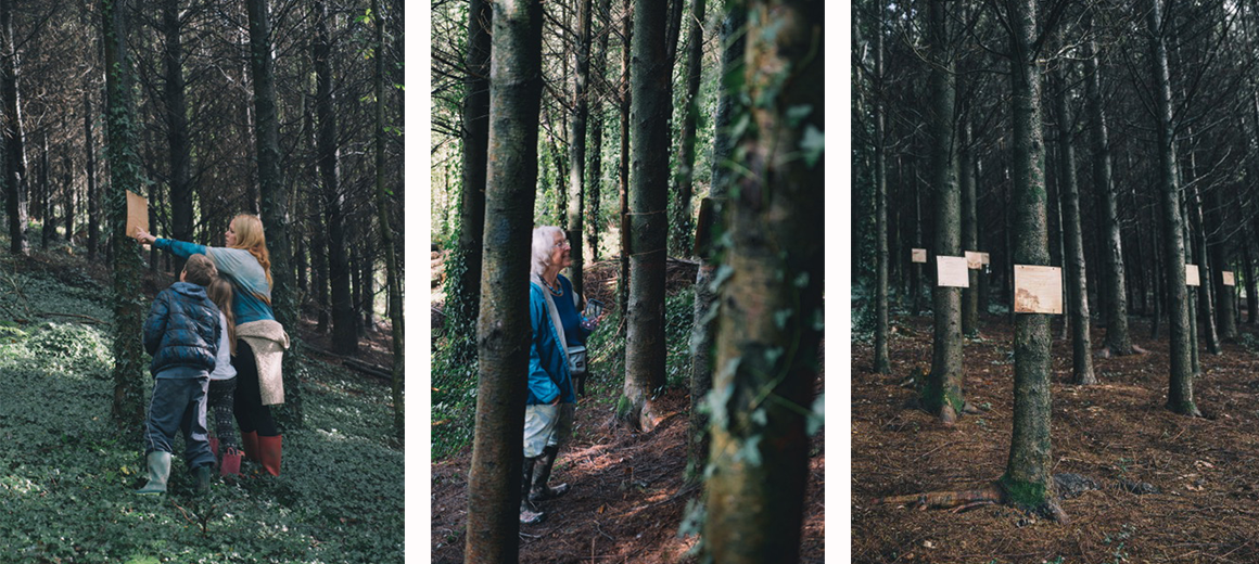 Plantation of Poems - Courage Copse Creatives