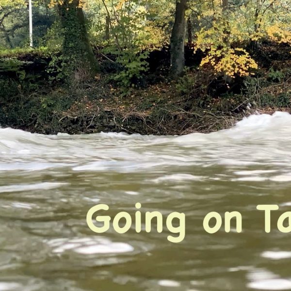 The Timber Girls Heritage Project - Courage Copse Creatives